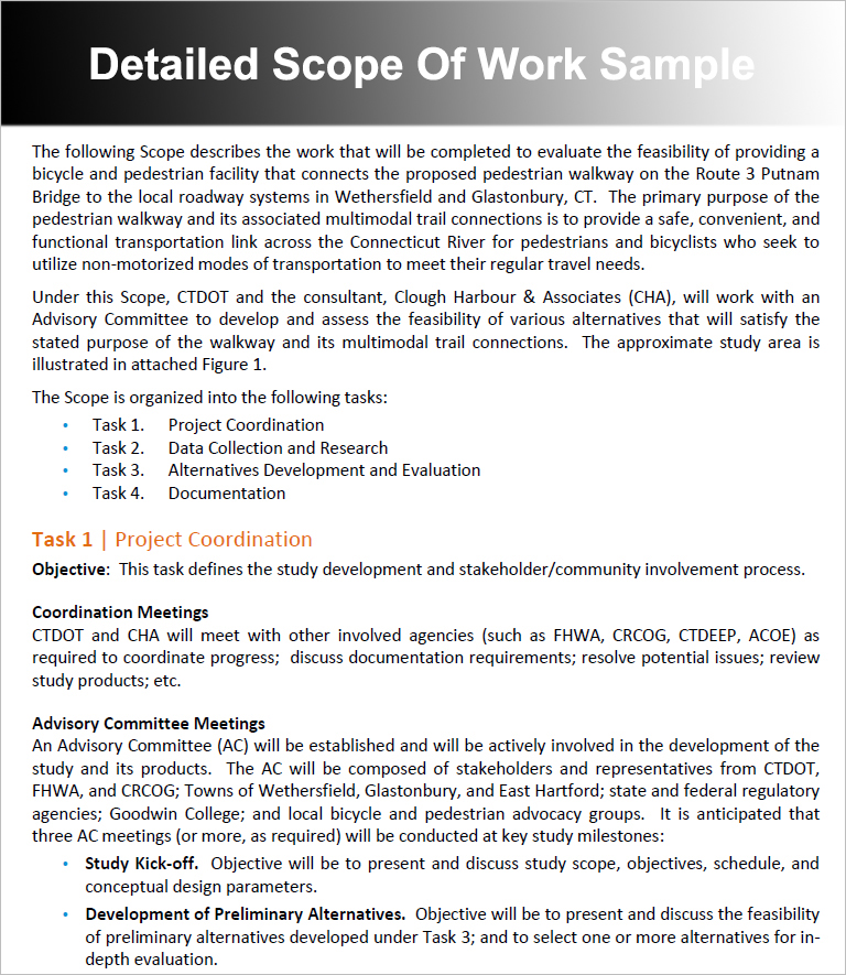 Business Scope Template