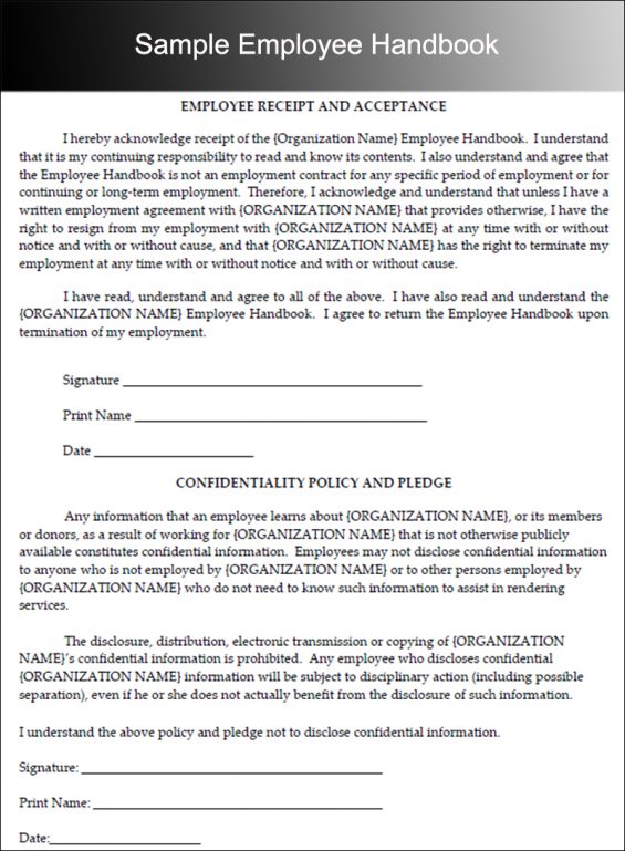 10+ Employee Handbook Templates Free Word, PDF, Doc Samples