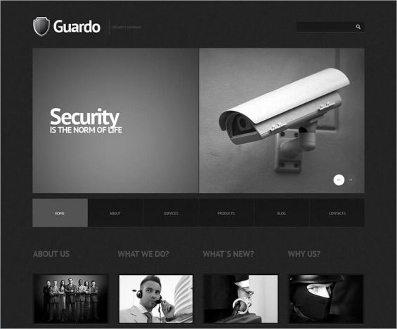 19+ Best Security WordPress Themes Free & Premium Templates