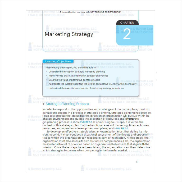 32+ Free Marketing Strategy Planning Template PDF, PPT Download