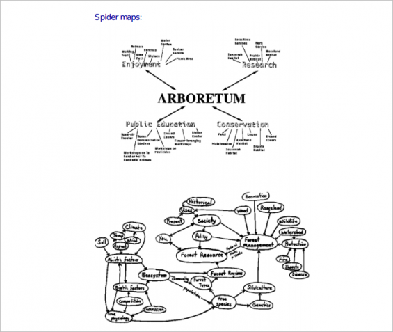 42+ Free Concept Map Templates for Easy Visual Organization