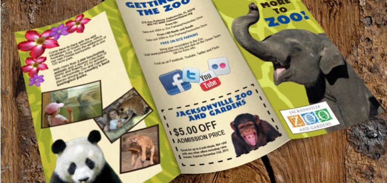 10+ Zoo Brochure Templates | Free & Premium Templates