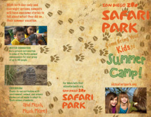 10+ Zoo Brochure Templates | Free & Premium Templates