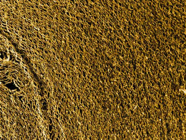 27+ Bronze Textures Free Sample, Example, Formats