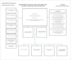 107+ Free Professional Organizational Chart Templates for Teams
