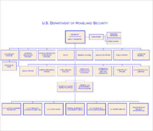 107+ Free Professional Organizational Chart Templates for Teams