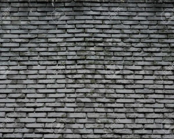 Exploring the Timeless Elegance: A Dive into Slate Roof Textures