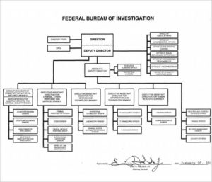 107+ Free Professional Organizational Chart Templates for Teams