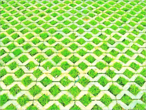50+ Grass Textures Free PNG, Photoshop Designs - Creativetemplate