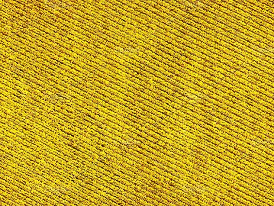 57+ Free Woven Fabric Textures to Download