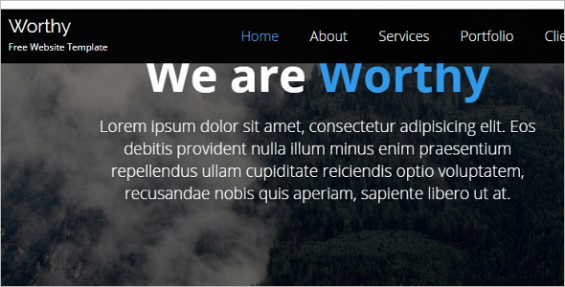 25+ Responsive jQuery Templates Free Website Themes