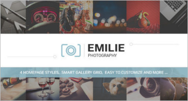Grid Style WordPress Themes - Creative Templates