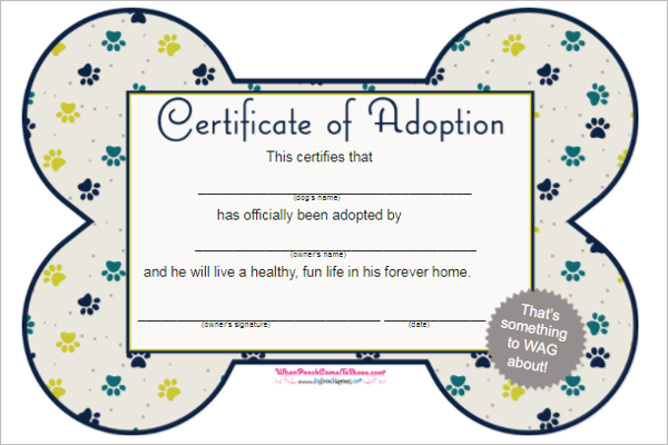 17 Adoption Certificate Templates Free PDF Word Design Examples