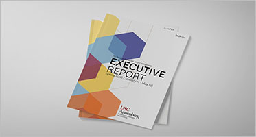 17+ Executive Report Templates Free PDF, DOC Formats
