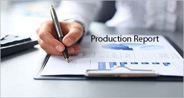 21+ Production Report Templates Free PDF, Word, PPT Formats