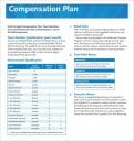 10+ Compensation Plan Templates Free Word, PDF Documents