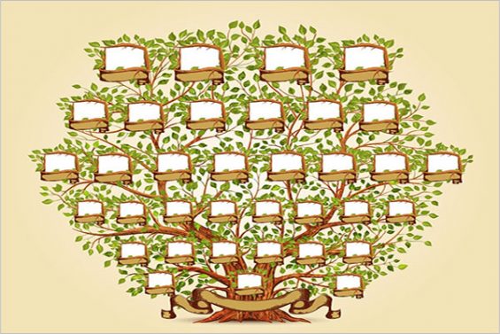 31+ Photo Family Tree Templates Free PDF, Word Formats