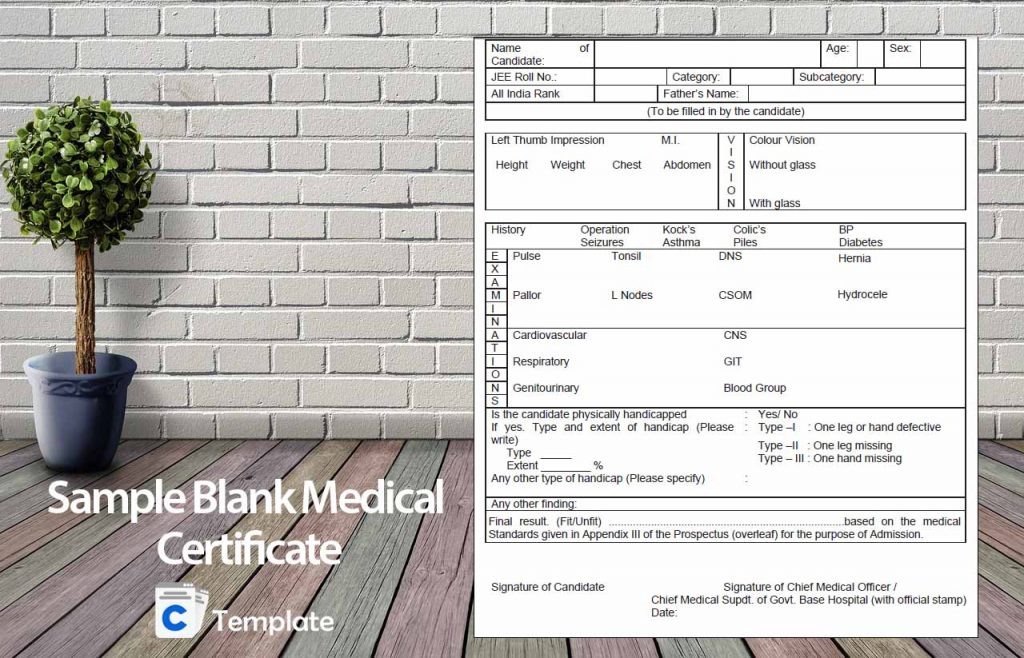 30+ Medical Certificate Template - Free Word, PDF Documents