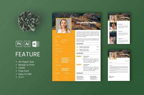 20+ Professional One Page Resume Templates -PDF, PSD, AI..